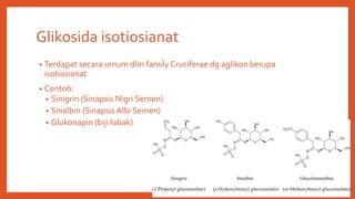 PPT-UEU-Farmakognosi-Pertemuan-12.pptx