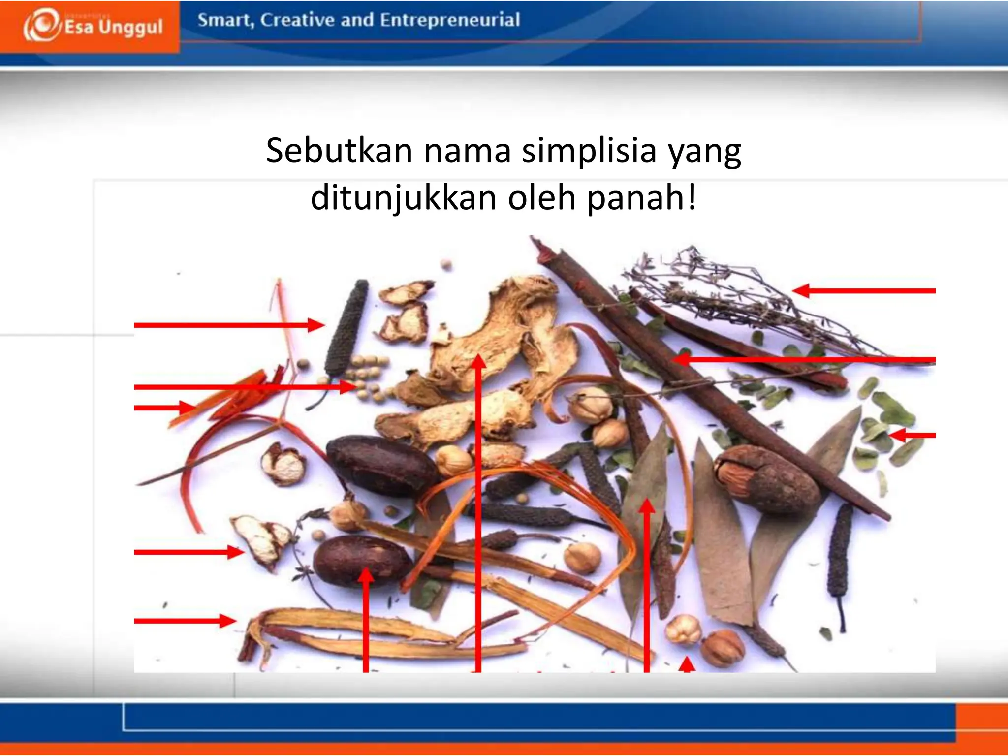 PPT-UEU-Farmakognosi-Pertemuan-5 smtr2.ppt