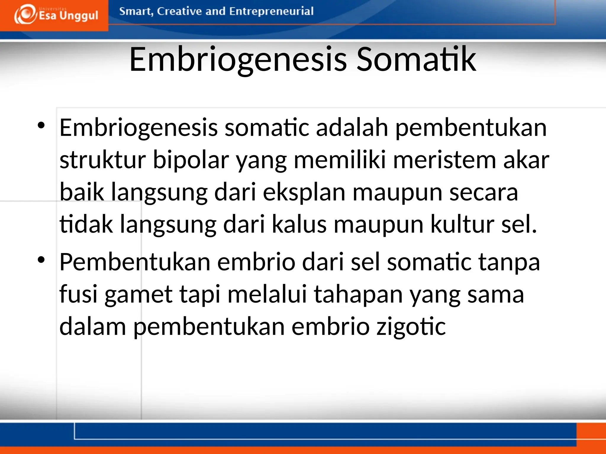 PPT-UEU-Kultur-Jaringan-Pertemuan-5.pptx