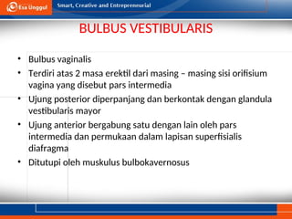 PPT-UEU-Patofisiologi-3PertemuanOrganReproduksi.ppt