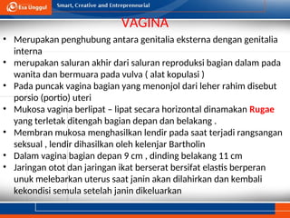 PPT-UEU-Patofisiologi-3PertemuanOrganReproduksi.ppt