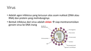 PPT-UEU-Virologi-Pertemuan-2.pptx