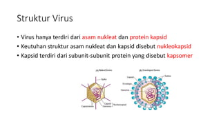 PPT-UEU-Virologi-Pertemuan-2.pptx