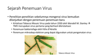 PPT-UEU-Virologi-Pertemuan-2.pptx