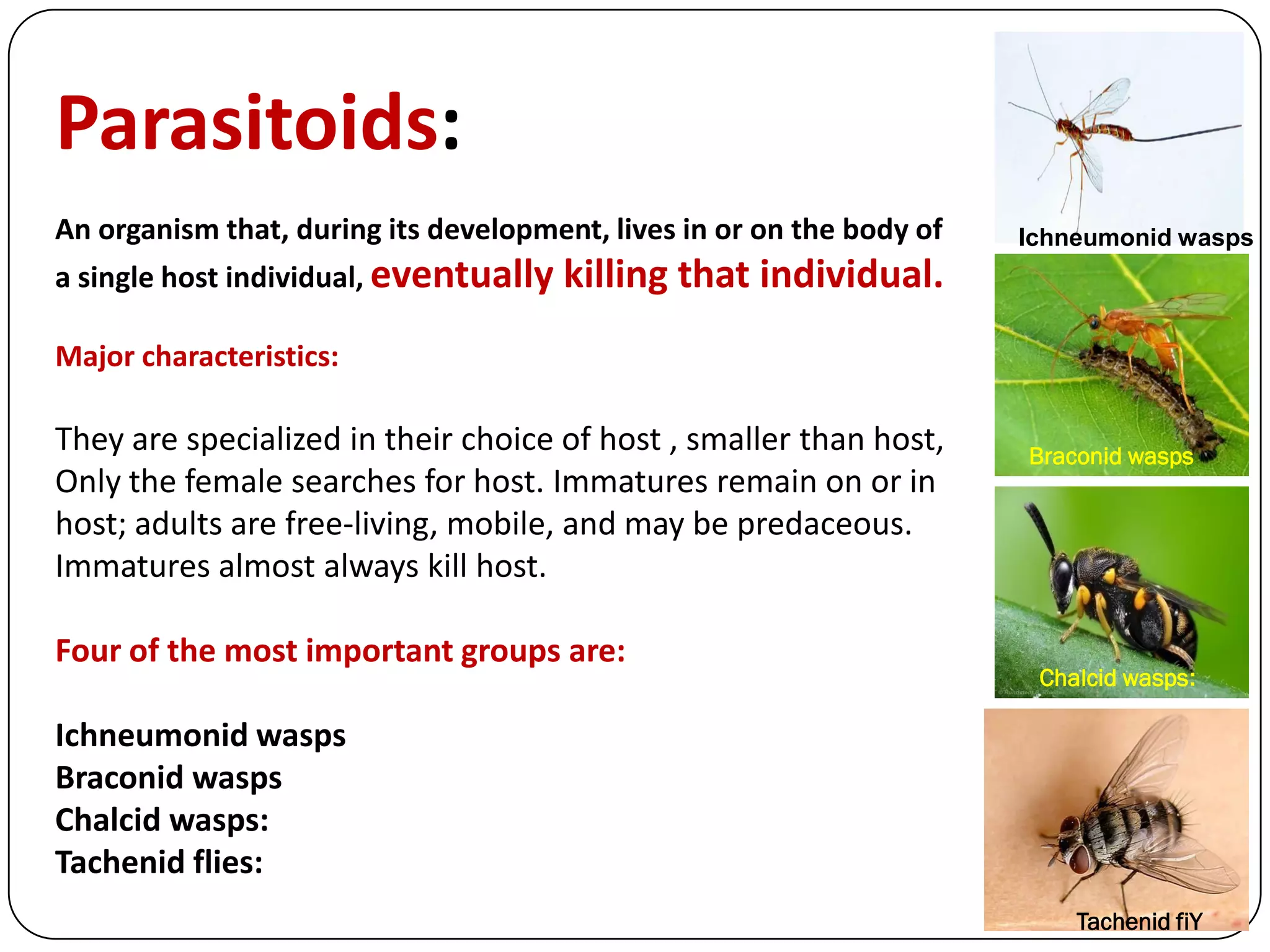 Biological Control of Insects | PDF