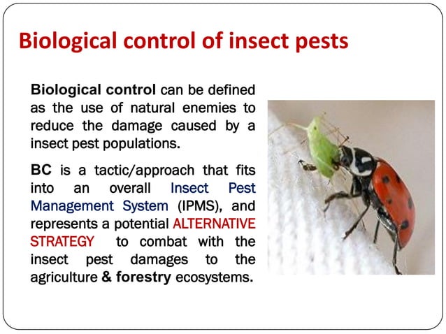 Biological Control of Insects | PDF