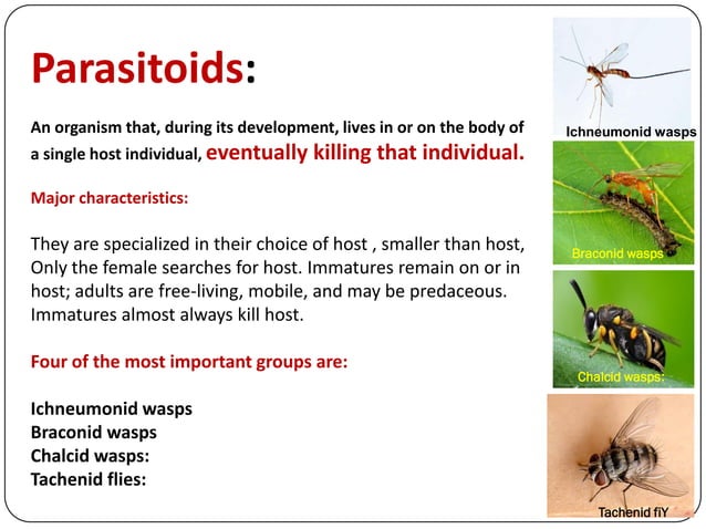 Biological Control of Insects | PDF