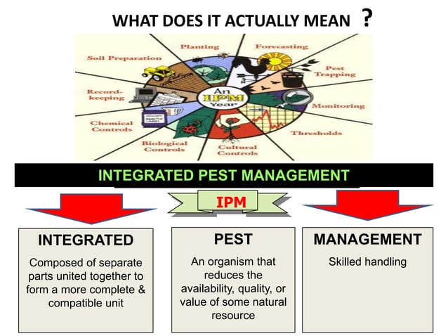 IPM of Forest Insect Pests | PDF | Agriculture | Industries