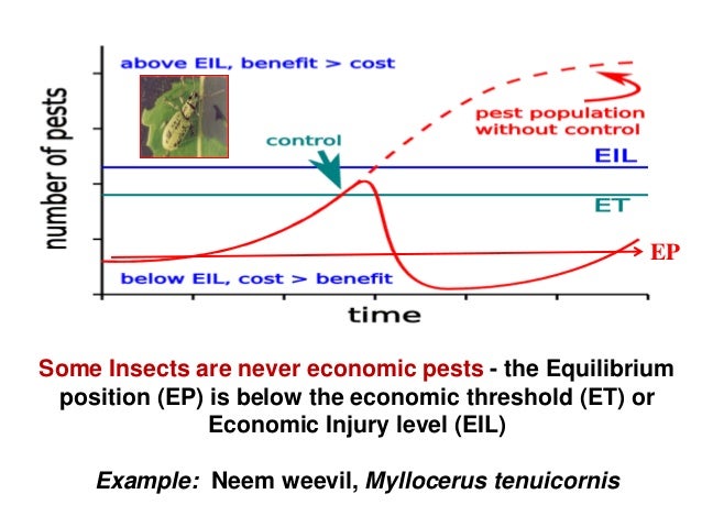 IPM of Forest Insect Pests