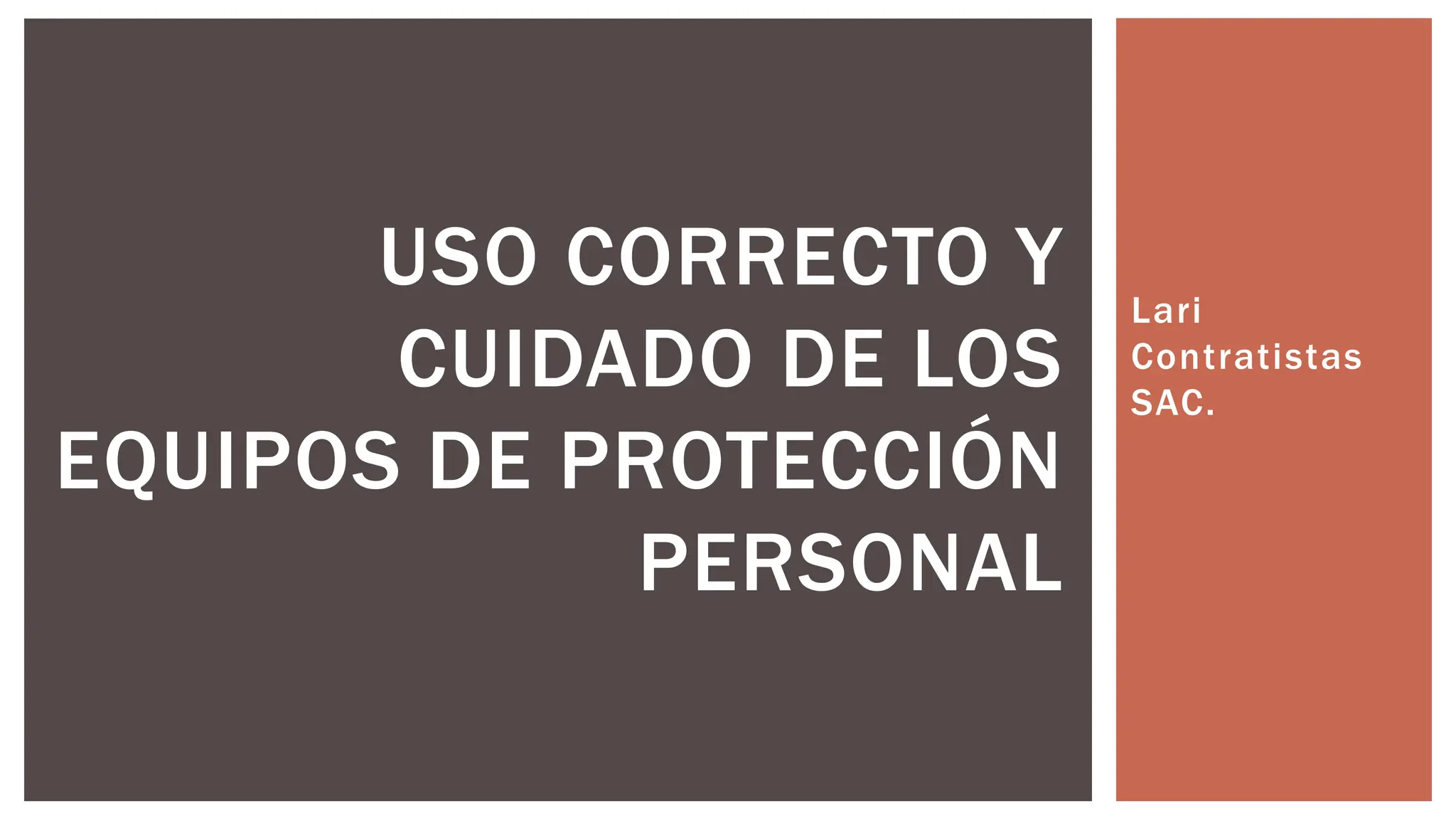 PPT Uso correcto de los EPP por seguridad y para su vida util _ LARI.pdf