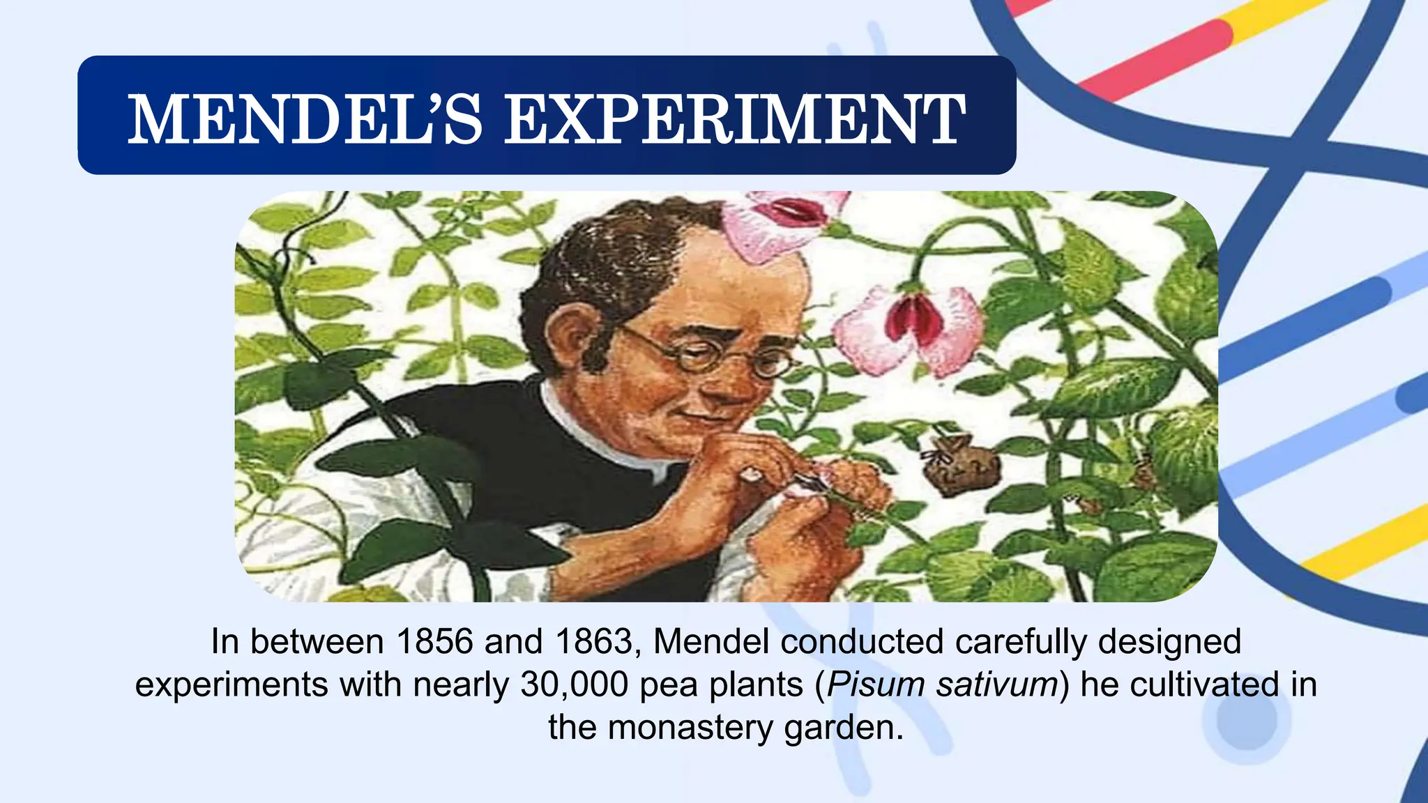 Genetics/ inheritance/ mendelian genetics/ non- mendelian genetics | PPTX