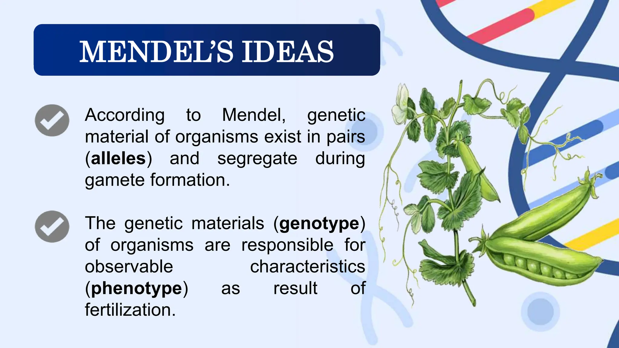 Genetics/ inheritance/ mendelian genetics/ non- mendelian genetics | PPTX
