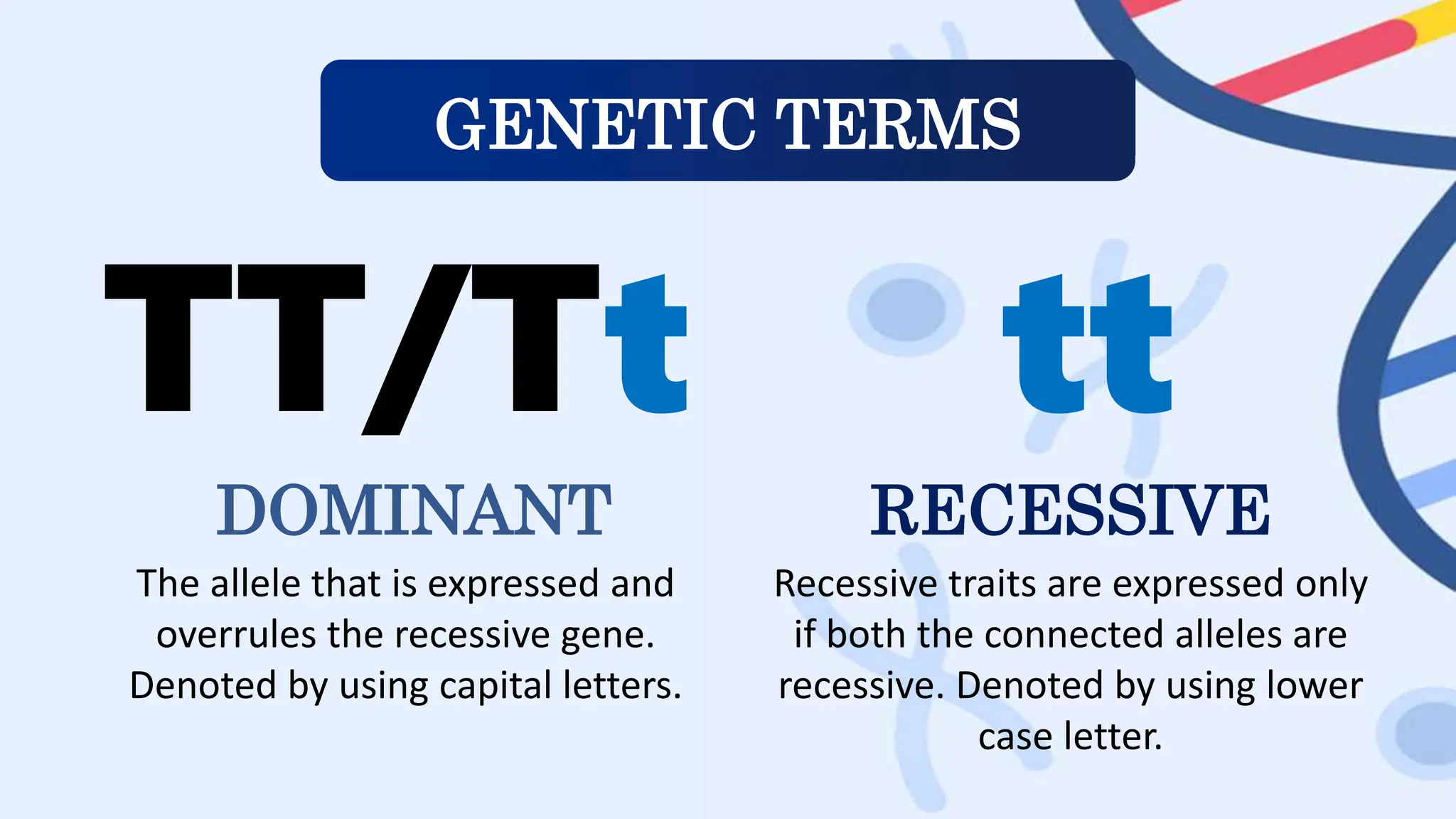 Genetics/ inheritance/ mendelian genetics/ non- mendelian genetics | PPTX