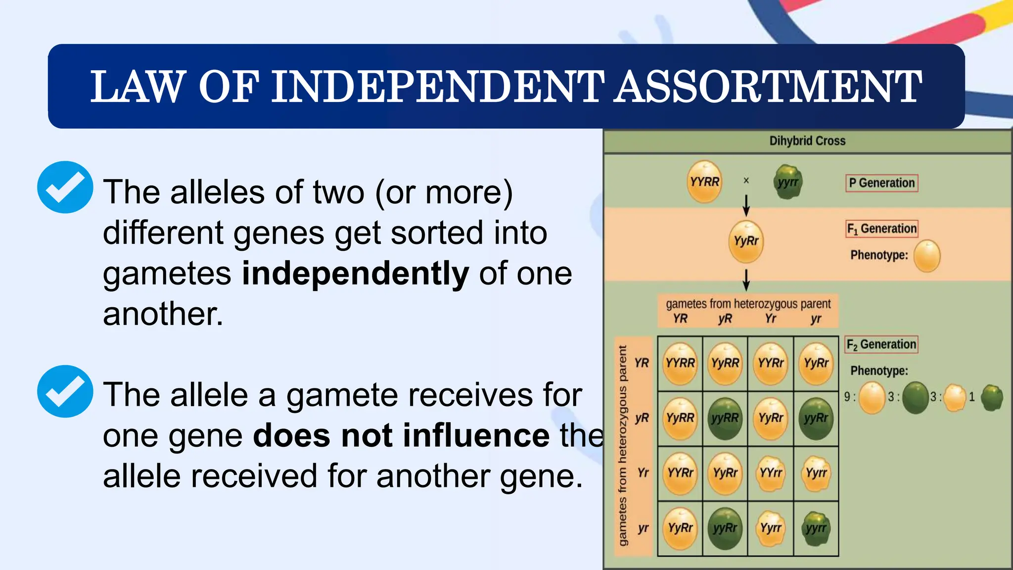 Genetics/ inheritance/ mendelian genetics/ non- mendelian genetics | PPTX