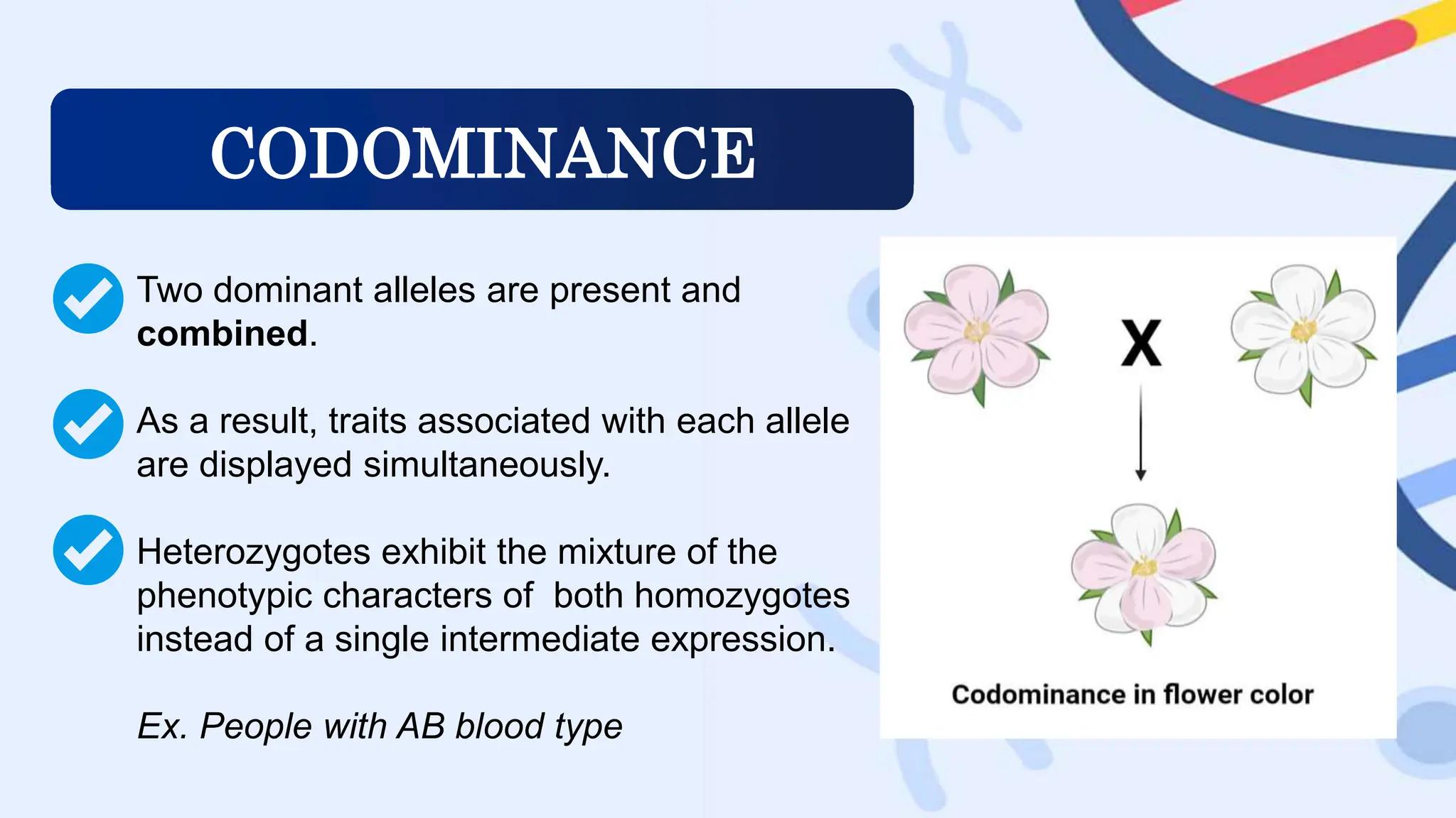 Genetics/ inheritance/ mendelian genetics/ non- mendelian genetics | PPTX