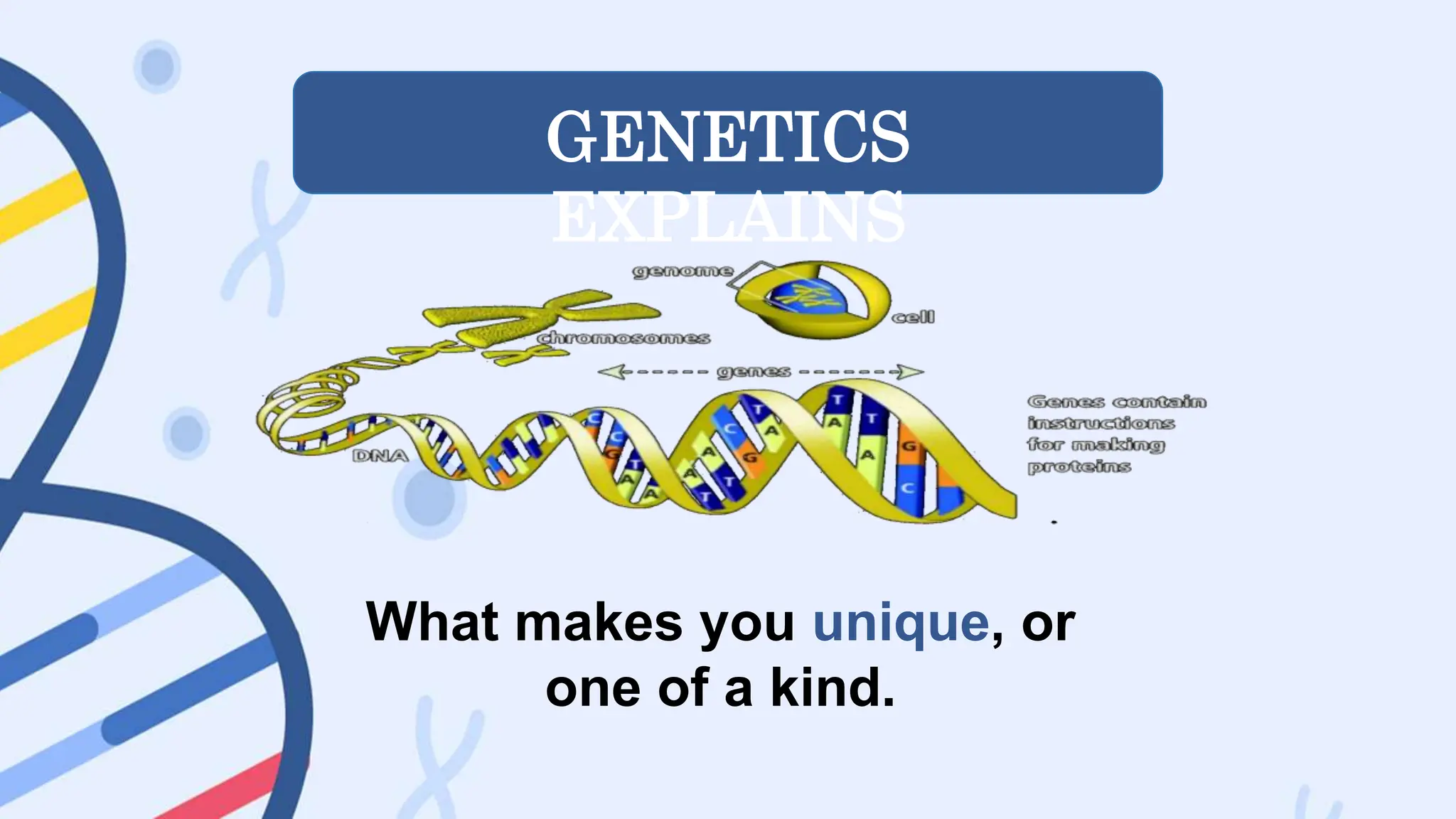 Genetics/ inheritance/ mendelian genetics/ non- mendelian genetics | PPTX