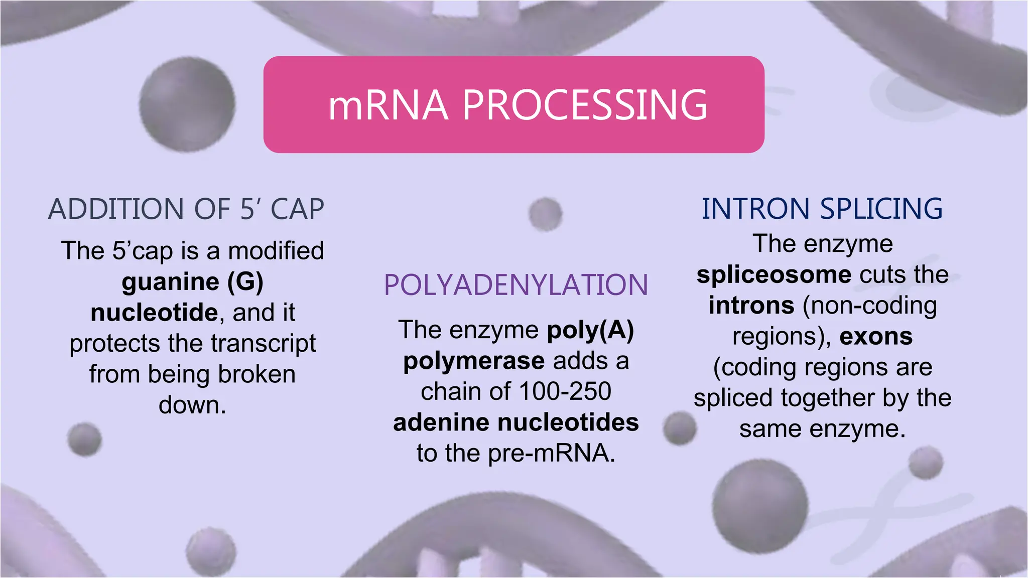 GENETICS- CENTRAL DOGMA OF MOLECULAR BIOLOGY | PPTX