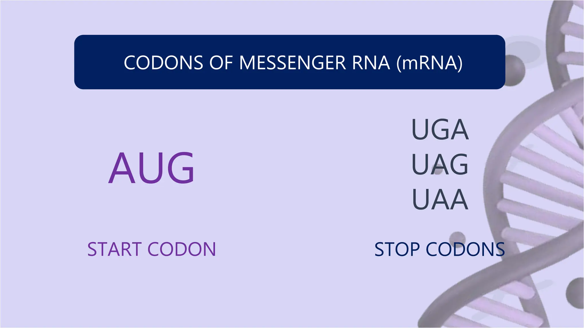 GENETICS- CENTRAL DOGMA OF MOLECULAR BIOLOGY | PPTX