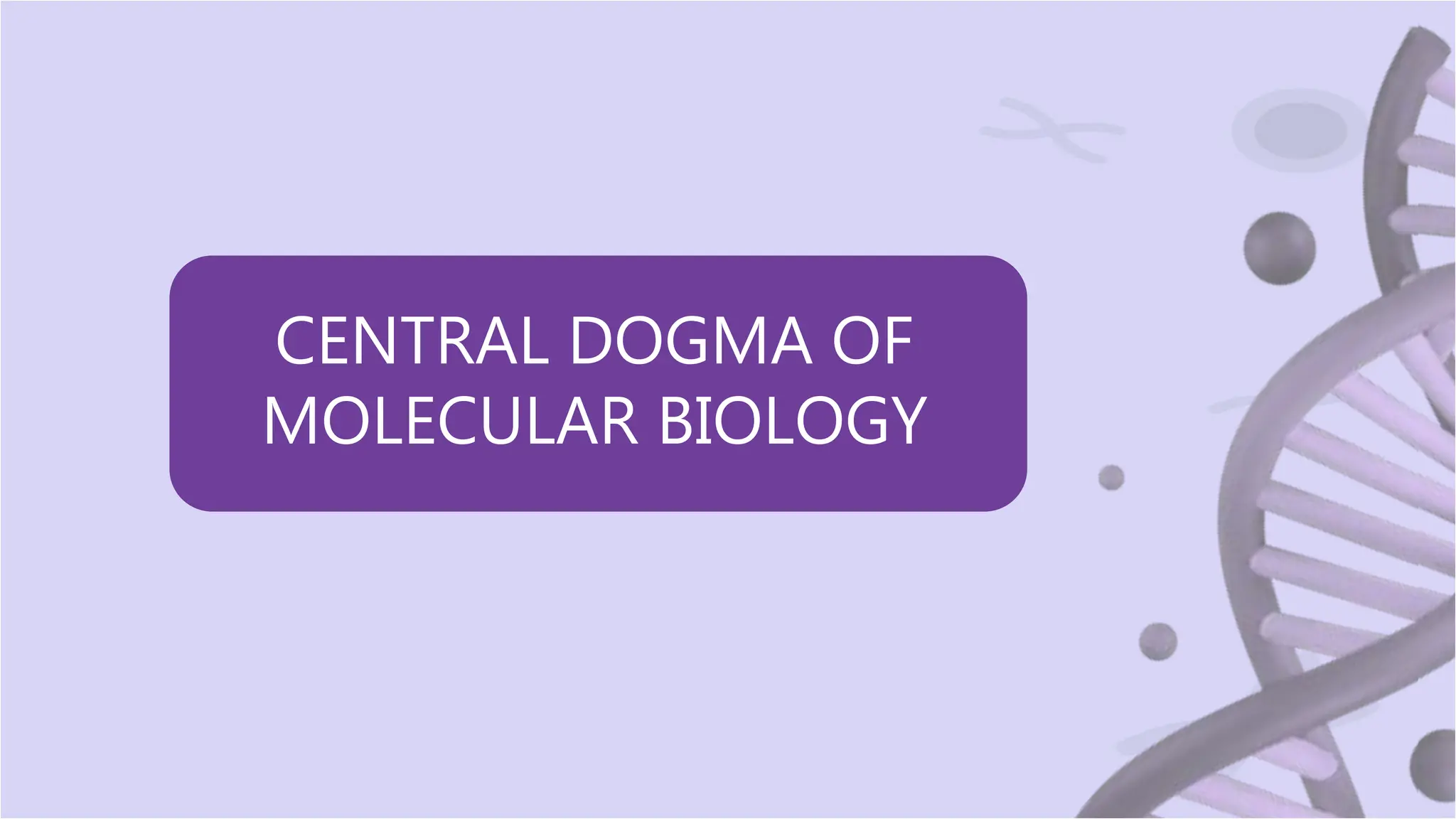GENETICS- CENTRAL DOGMA OF MOLECULAR BIOLOGY | PPT