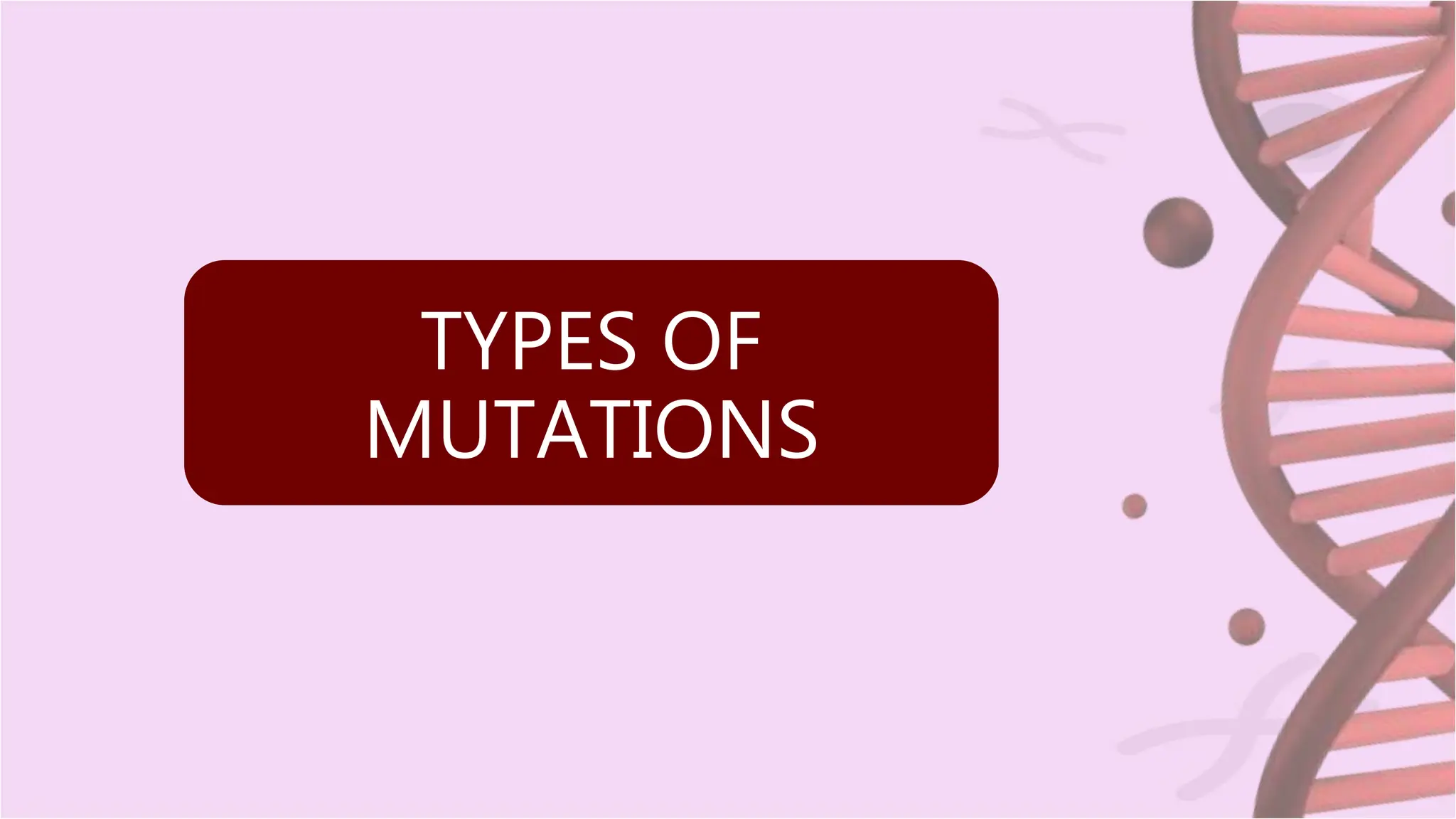mutations and evolutions- charles darwin | PPT