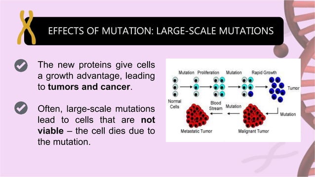 mutations and evolutions- charles darwin | PPT