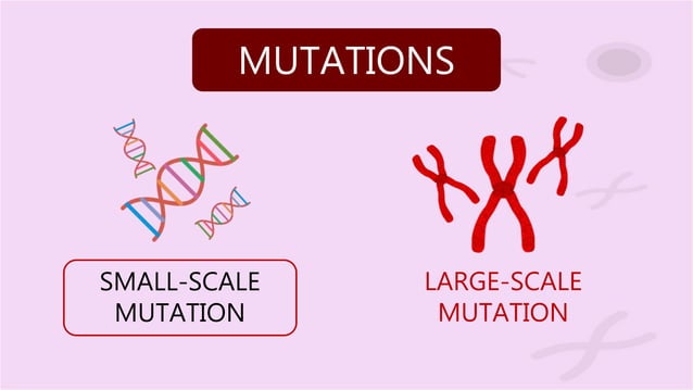 mutations and evolutions- charles darwin | PPT