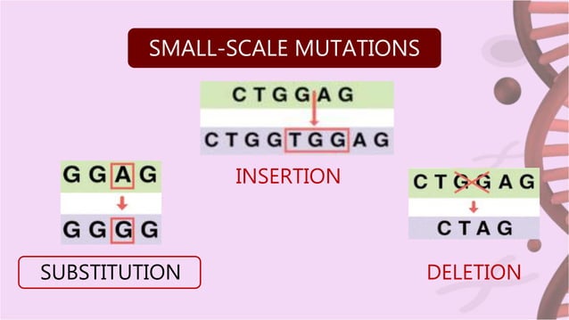 mutations and evolutions- charles darwin | PPT