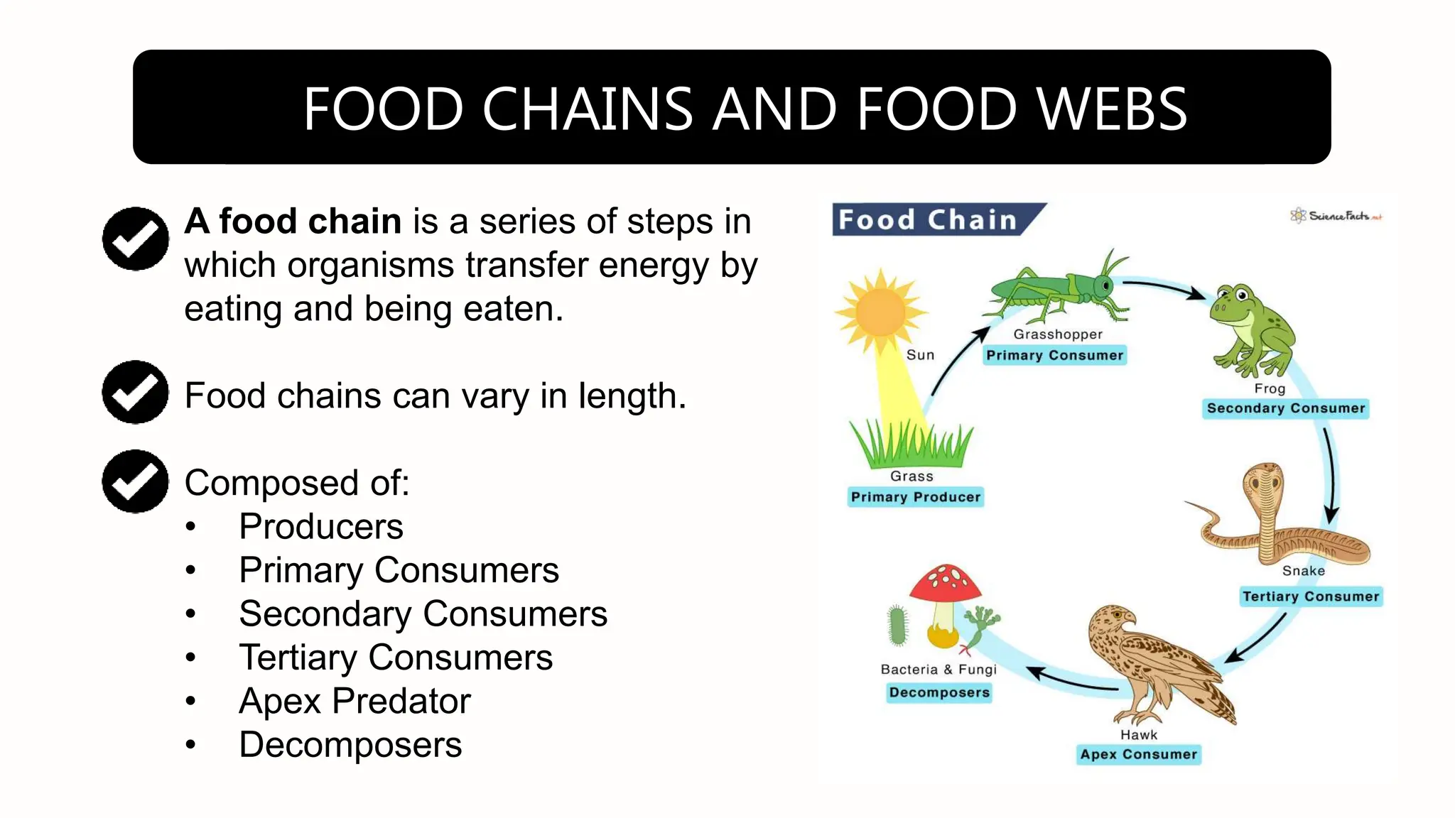 (GEN BIO)EVOLUTION, TAXONOMY AND ECOSYSTEM | PPTX