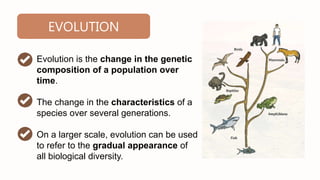 (GEN BIO)EVOLUTION, TAXONOMY AND ECOSYSTEM | PPTX