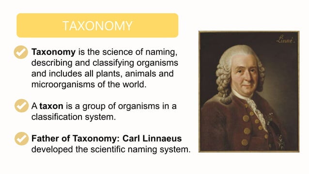 Gen Bio Evolution Taxonomy And Ecosystem Pptx Geography Science