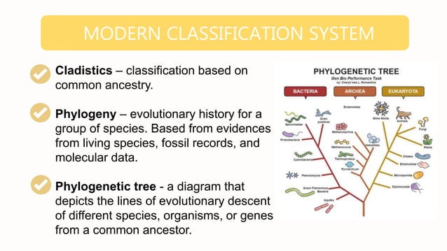 Gen Bio Evolution Taxonomy And Ecosystem Pptx Geography Science