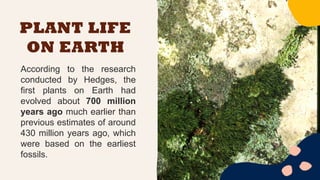 plant phisiology | PDF