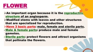 plant reproduction | PPTX