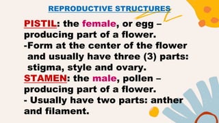plant reproduction | PPTX