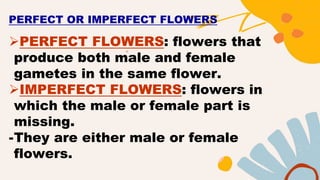 plant reproduction | PPTX