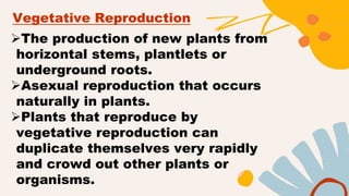 plant reproduction | PPTX