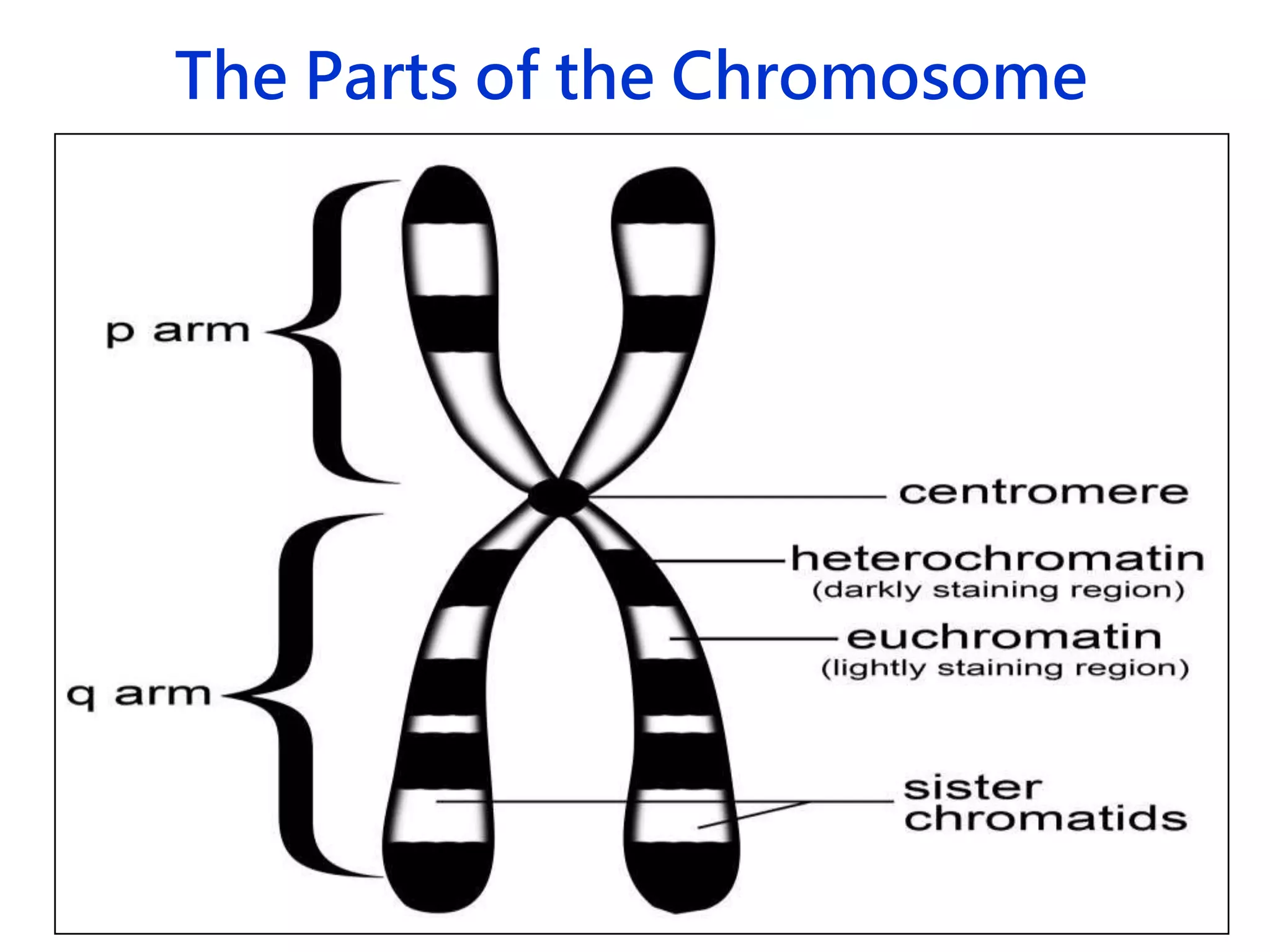 PPT - WK4-DAY1-DE.pptx