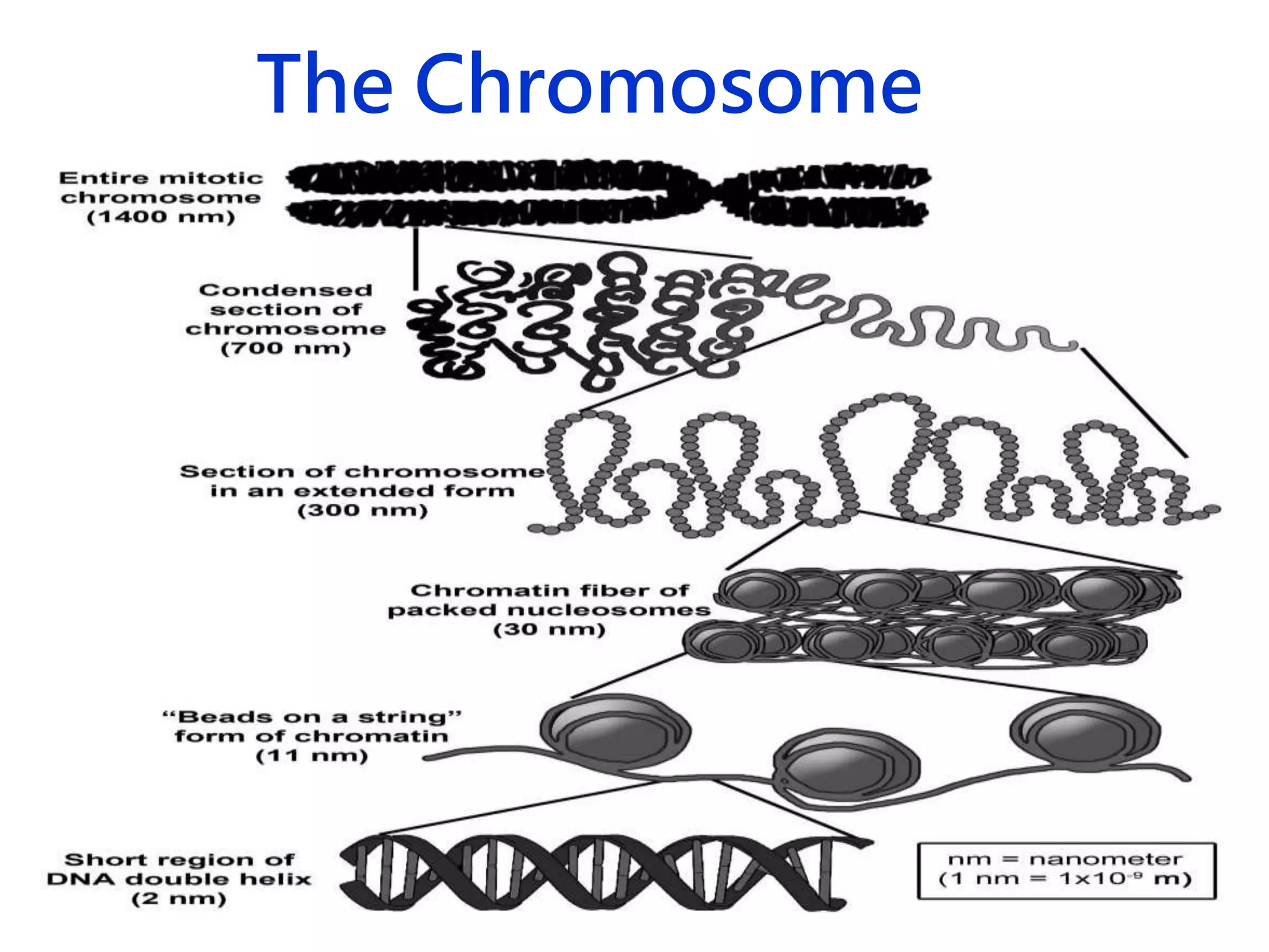 PPT - WK4-DAY1-DE.pptx
