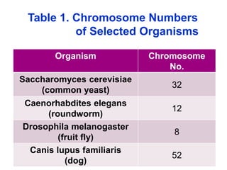 PPT - WK4-DAY1-DE.pptx