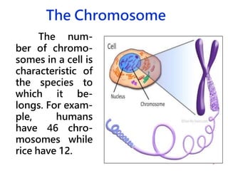 PPT - WK4-DAY1-DE.pptx