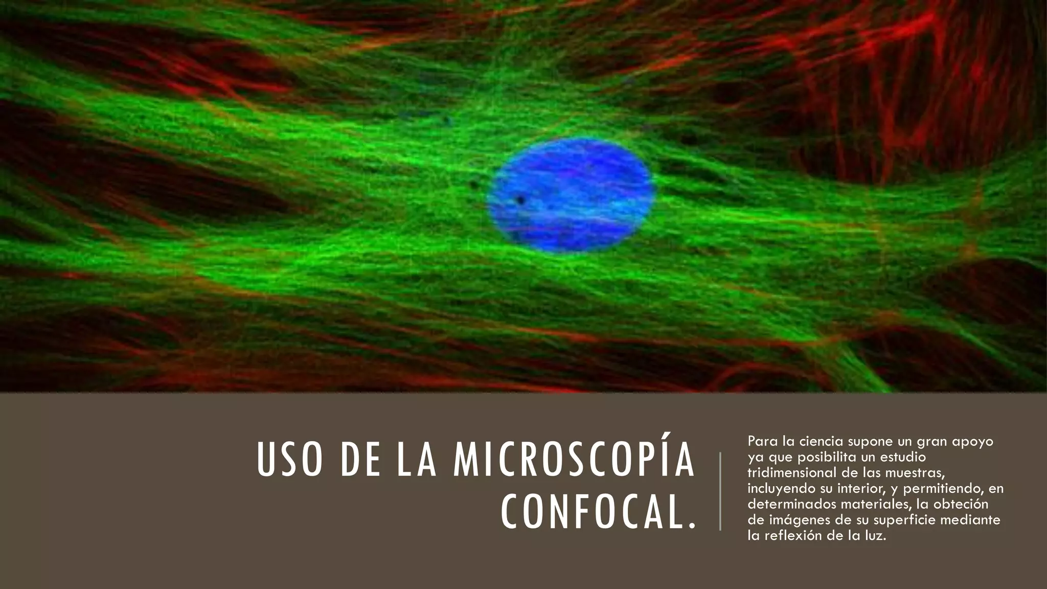 Microscopía confocal. | PDF | Cameras and Camcorders | Consumer Electronics