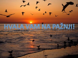 Ppt0000001 neka grupa | PPT