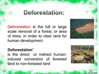 deforestation | PPTX