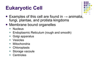 Cells | PPT
