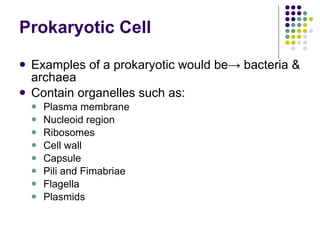 Cells | PPT