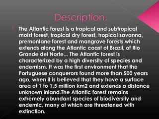 Ppt0000007 | PPT