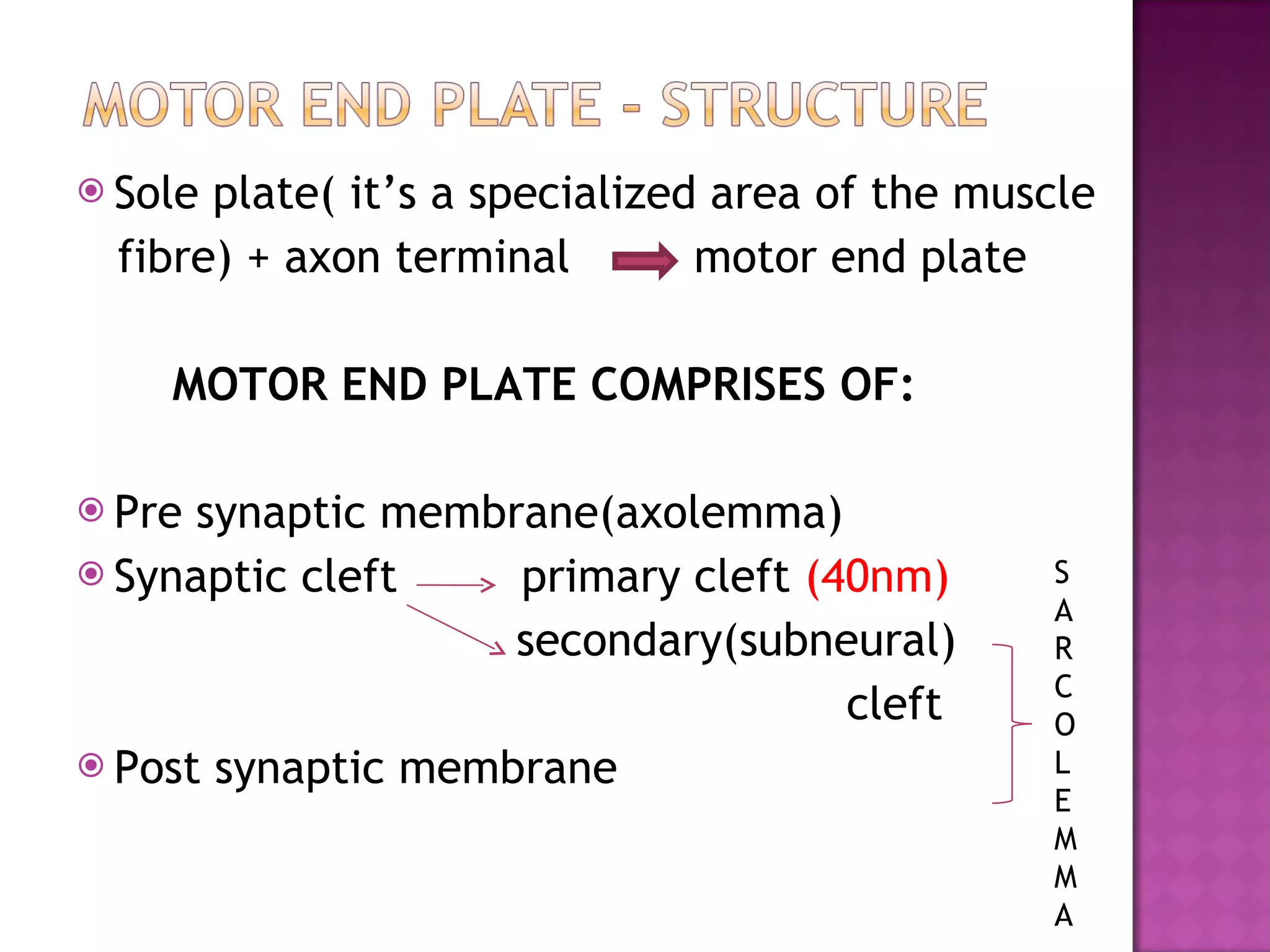 Myasthenia Gravis - Anatomy & Physiology | PPT