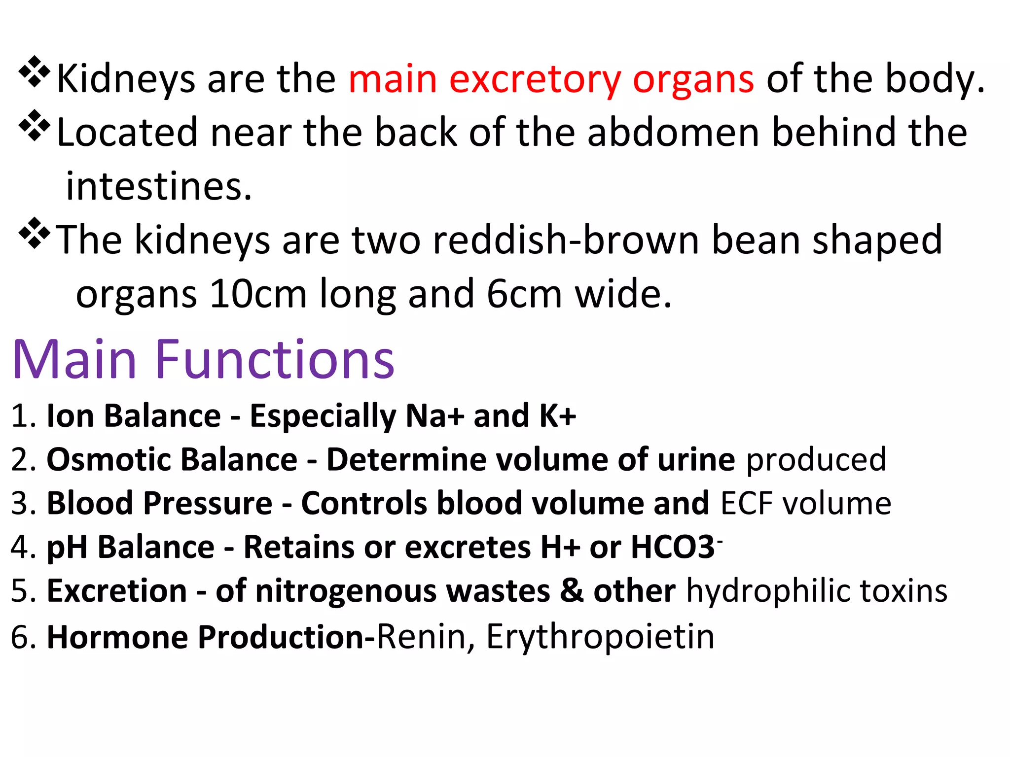 artificial kidney | PPT