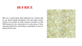 Non Basmati Rice Varieties | PPTX