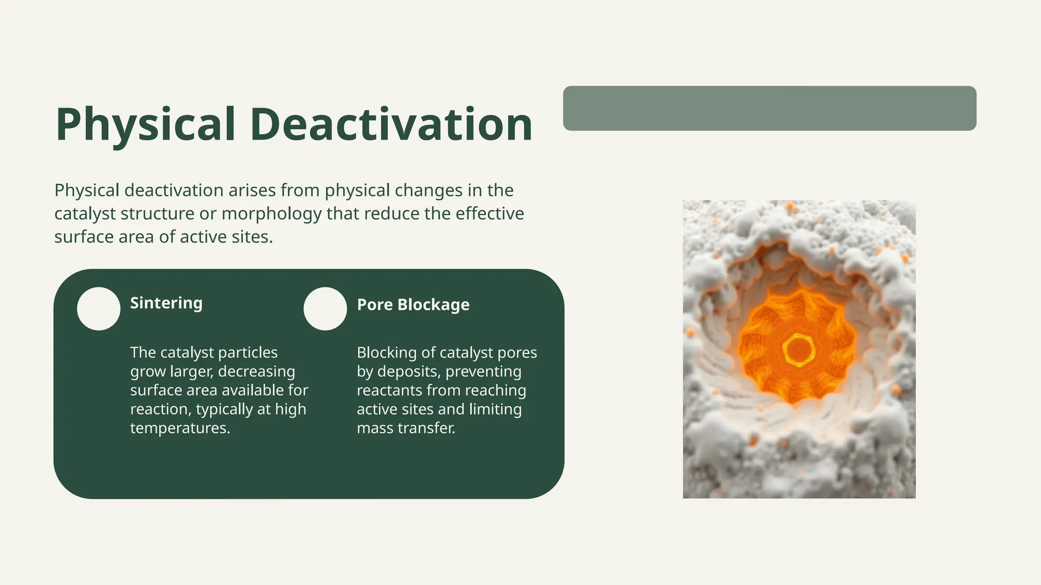 The role of Organometallic Catalyst In Industries.pptx